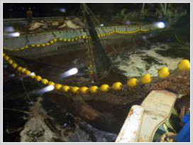 Purse Seine for Mackerel and Horse Mackerel | Complete Purse Seine Nets ...